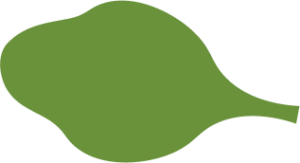 Pradinis - LEAFOOD